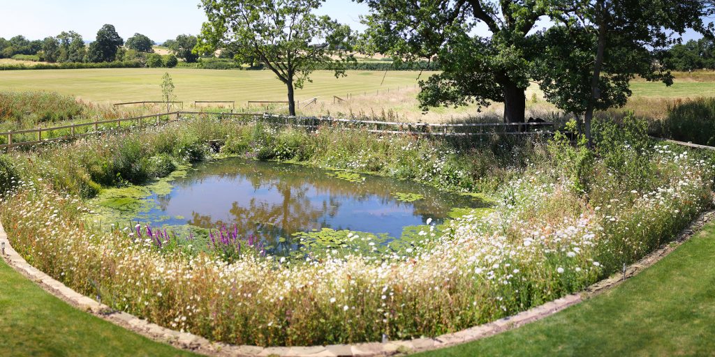 Wild Meadow – G-Scapes